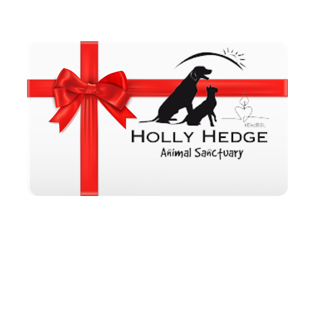 Holly Hedge Animal Sanctuary – No Fuss Fill
